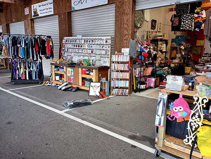 Organized chaos at its finest&mdash;where clothing, DVDs, and random treasures create the perfect storm of "I didn't know I needed this until right now."