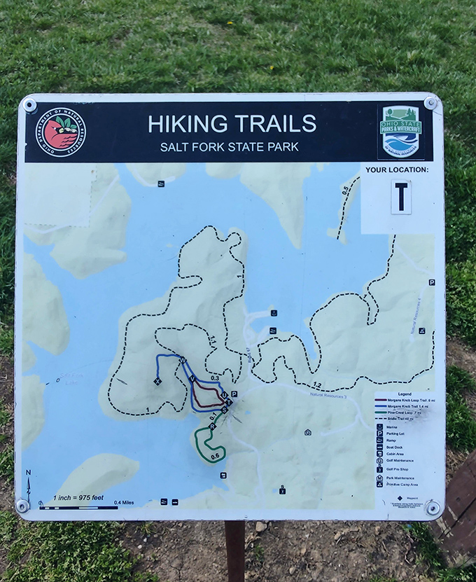 The trail map reveals Salt Fork's network of adventures, though getting pleasantly lost might be half the fun.