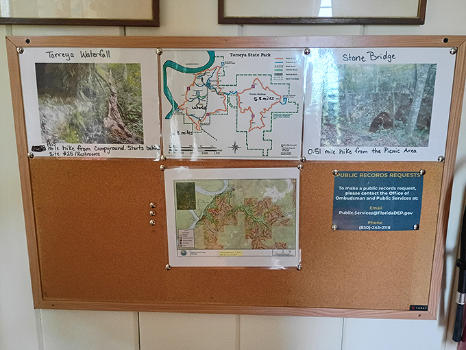 Adventure planning central. These maps don't have a "You Are Here" dot that follows you&mdash;you'll need actual navigation skills.