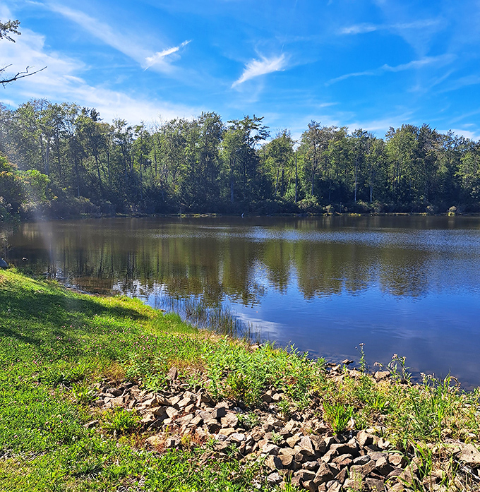 Mirror, mirror on the water&mdash;reflecting Pennsylvania's woodland beauty with such stillness you can almost hear the trees admiring themselves.