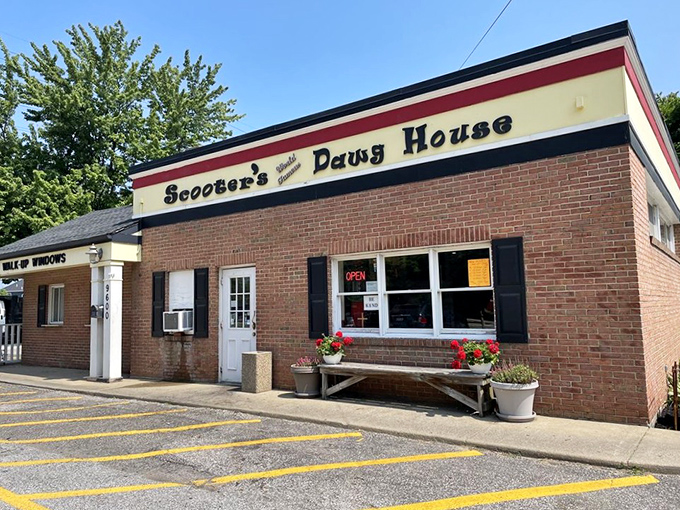 The humble exterior belies the flavor explosions waiting inside&mdash;like finding a treasure chest disguised as a shoebox.