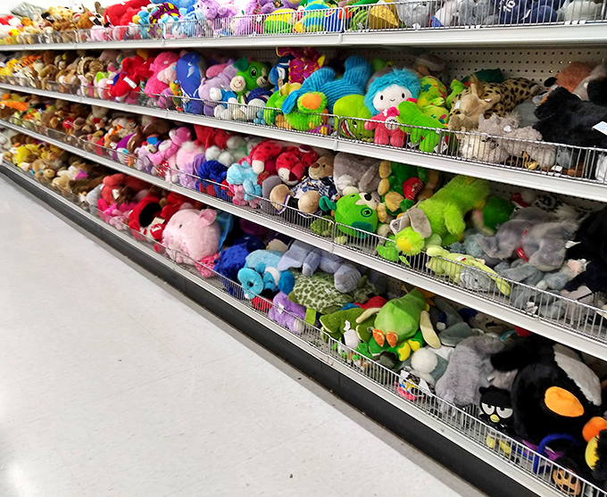 Stuffed animal adoption center where plush friends wait patiently for their forever homes. That green dinosaur is judging you.