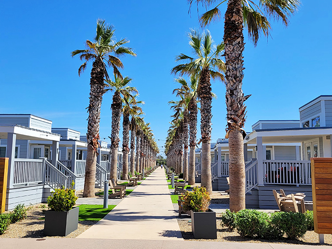 Sun Outdoors San Diego Bay creates a palm-lined paradise for modern living. These aren't your grandparents' retirement cottages.