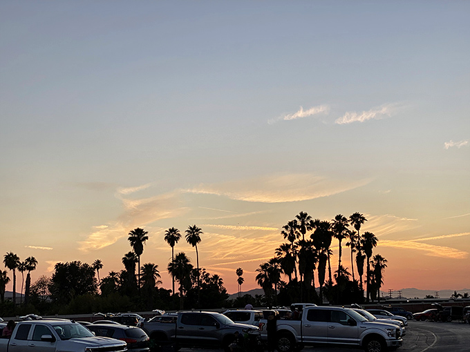 California sunsets provide the perfect opening act, with silhouetted palm trees creating that quintessential SoCal backdrop before the feature presentation.