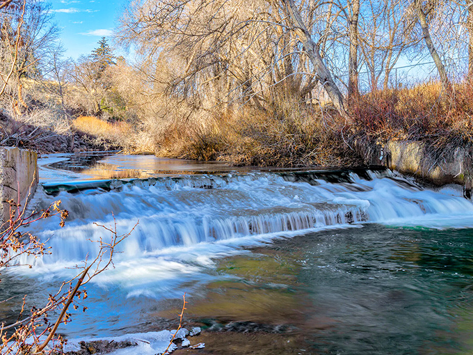 The Susan River cascades over natural steps, creating nature's own symphony&mdash;white water percussion accompanied by wind-in-pine melodies.