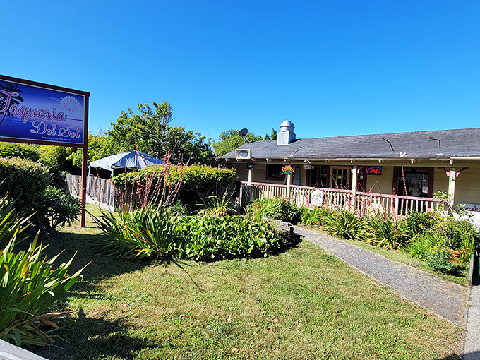 Taqueria Del Sol serves up sunshine even on foggy days &ndash; their garden path practically demands you order something with avocado.