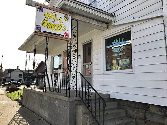 The Hall of Hobbies &ndash; where passionate collectors prove that in small towns, interesting obsessions are the best entertainment.