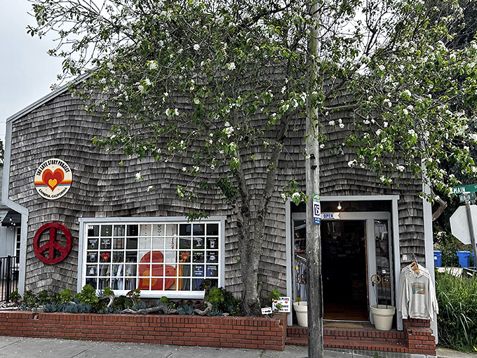 Peace, love, and shopping. This weathered cedar-shingled shop with its colorful window display captures Cambria's free-spirited side.