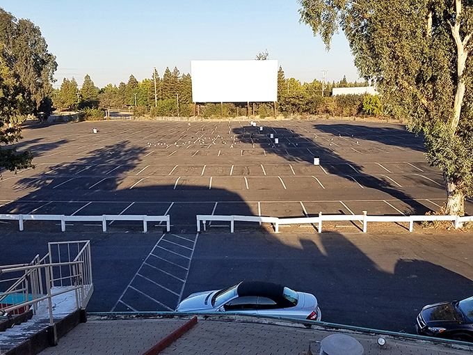 An empty lot awaiting its nightly transformation. By sunset, this asphalt canvas will become a patchwork of blankets, lawn chairs, and anticipation.