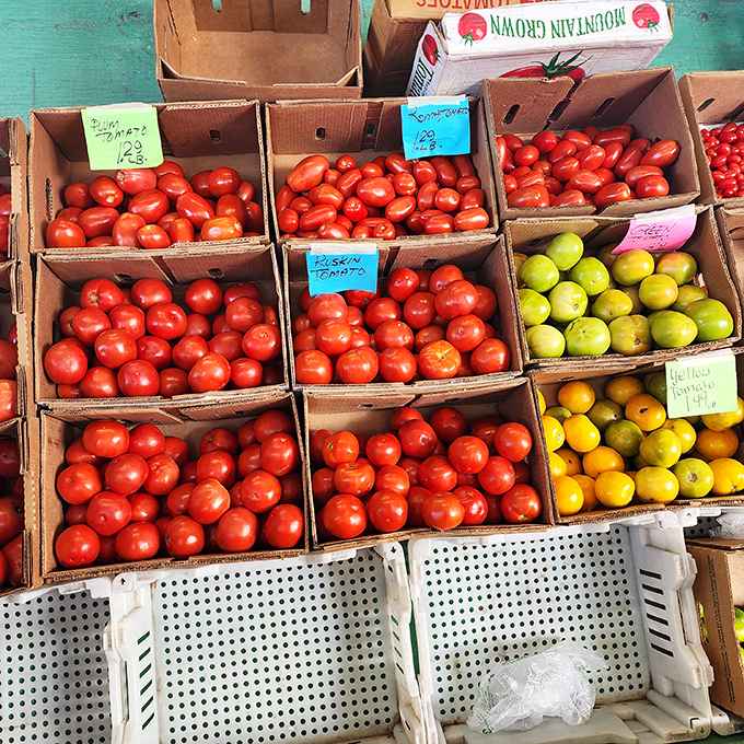 Farm-fresh tomatoes arranged in tidy boxes bring a farmer's market feel. Nothing completes a flea market experience like taking home local produce.