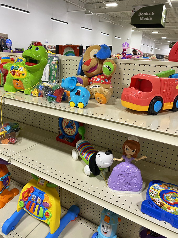 Toy paradise where childhood dreams get a second chance, from princess dolls to learning toys that won't break the bank.