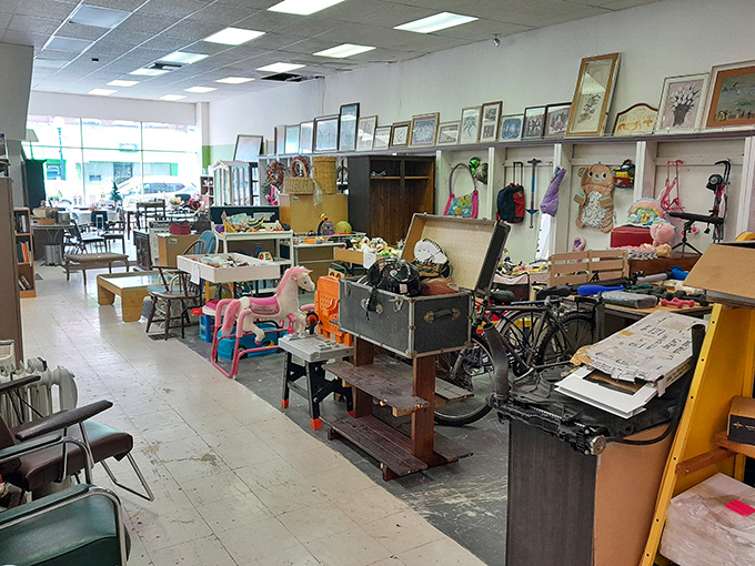 Tracy's Treasures offers the thrill of the hunt&mdash;where yesterday's ordinary becomes today's extraordinary through the magic of nostalgia.