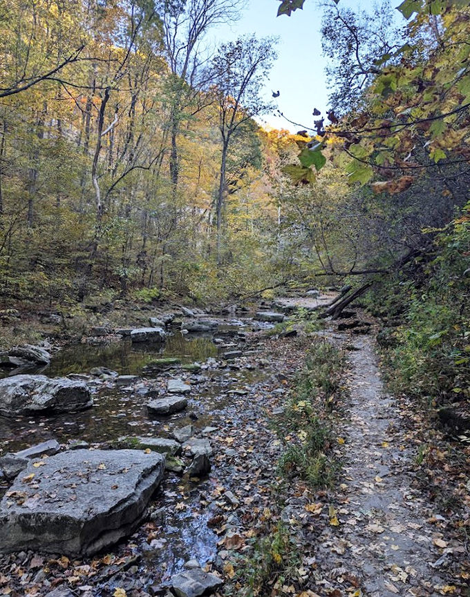 Autumn's golden hour. Fall transforms McCormick's Creek into a painter's palette of amber and gold &ndash; no filter needed for this Instagram moment.