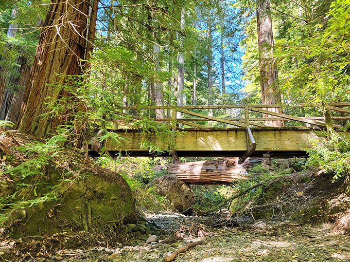 Crossing this bridge feels symbolic&mdash;you're literally walking over centuries of natural history while surrounded by living skyscrapers.