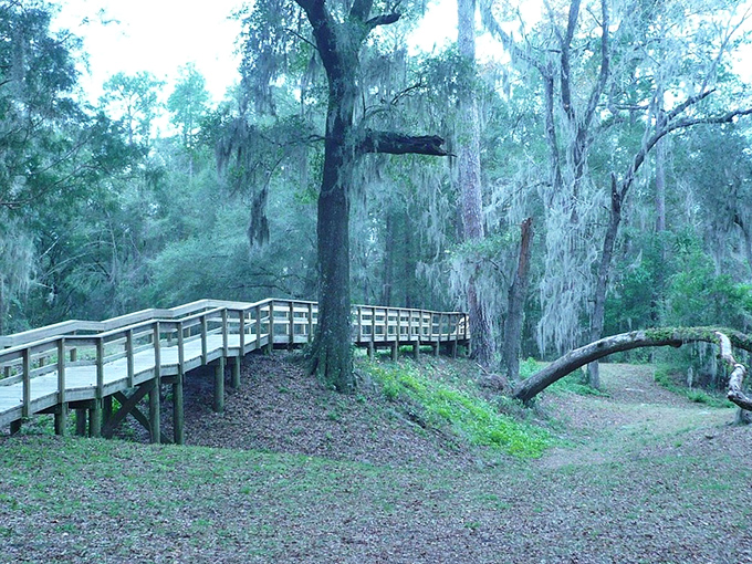 Wooden walkways guide you through cypress forests without disturbing nature's careful arrangements. These trails offer front-row seats to Florida's original architecture&mdash;no ticket required.