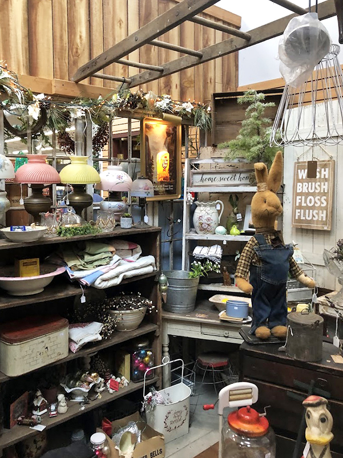 Vintage wonderland where nostalgia comes neatly arranged on rustic shelves &ndash; that rabbit alone has seen more history than most history books.