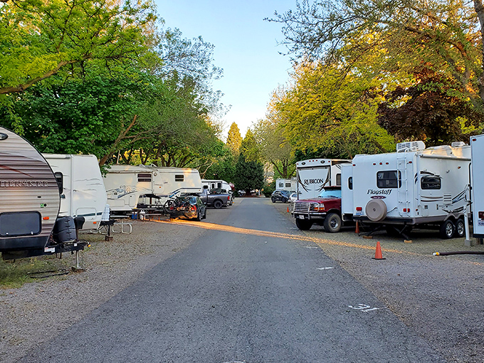 Waiiaka RV Park welcomes road warriors with tree-lined lanes and mountain views. Your home-on-wheels never had such a picturesque parking spot.