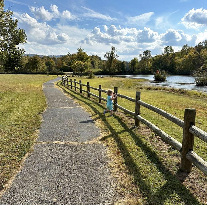 The walking trail meanders alongside rustic fencing, inviting visitors to slow down and notice details often missed at life's usual pace.