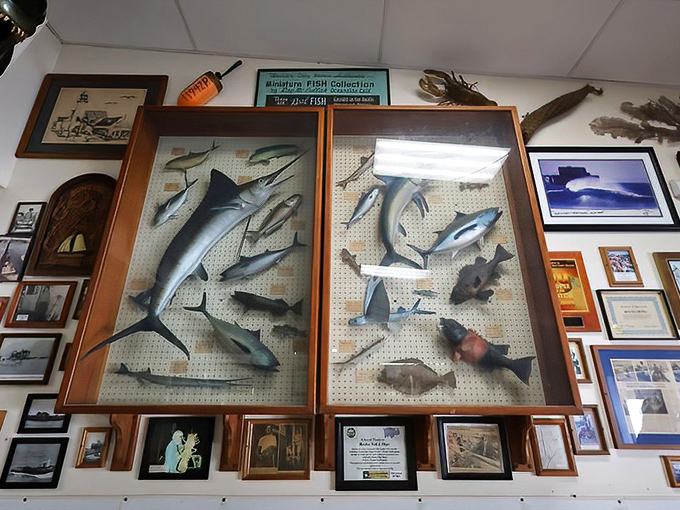 The mounted fish collection serves as both decoration and silent menu suggestion, with each specimen seemingly whispering, "My cousins are delicious."