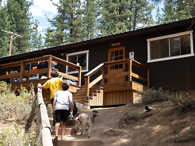 Cabin living at its finest&mdash;where rustic charm meets practical mountain design, and every porch offers a front-row seat to nature's show.