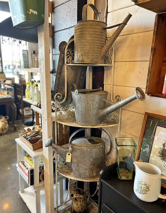 These weathered watering cans have nurtured gardens through droughts and downpours&mdash;functional sculpture with stories to tell.