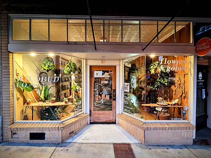 Wildbud Floral's warm glow invites passersby into a shop where plants aren't just Instagram props but actual living things to brighten your home.