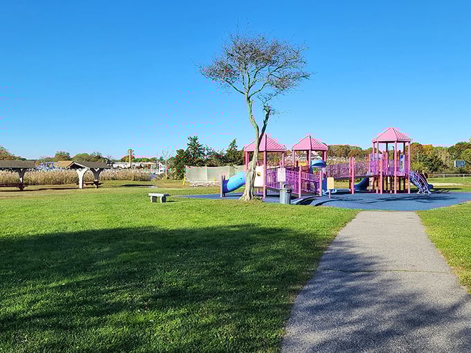This playground proves that even in a town famous for maritime history and seafood, there's still plenty of room for good old-fashioned fun.