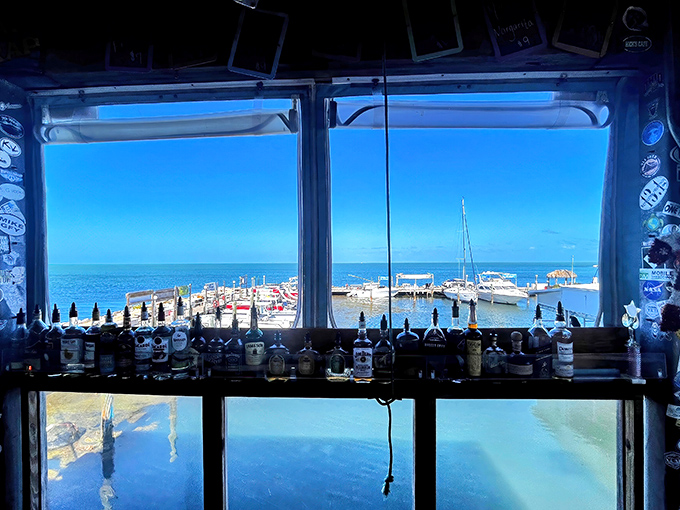 Windows frame the marina views, connecting diners directly to the source of their incredibly fresh meal.