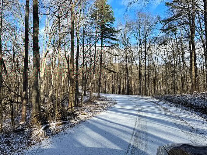 Winter's quiet magic blankets the forest trails, turning familiar paths into unexplored territory that crunches satisfyingly beneath your boots.