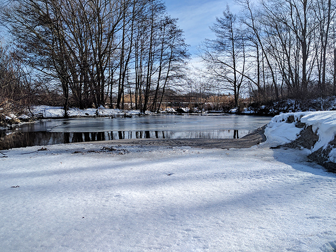 Winter transforms Geneva State Park into a serene wonderland where frozen waters mirror bare trees in perfect stillness.