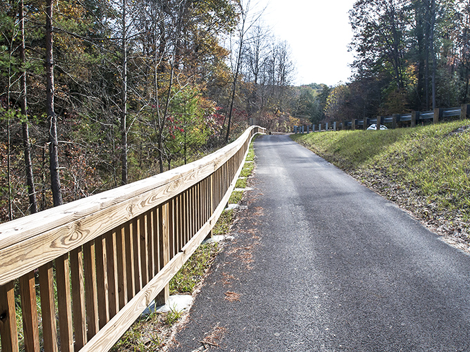 A humble wooden railing guides travelers along this intimate forest path. Some of life's best journeys happen on roads barely wide enough for two.