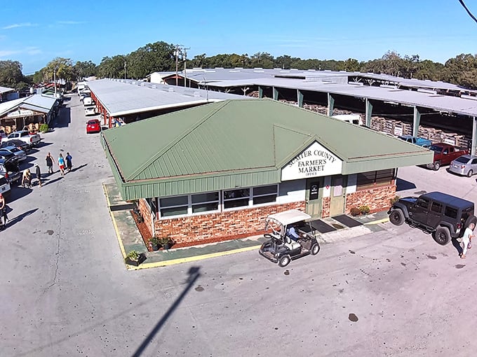 From above, the Sumter County Farmers Market reveals its impressive scale&mdash;a treasure-hunting playground that would make Indiana Jones jealous.
