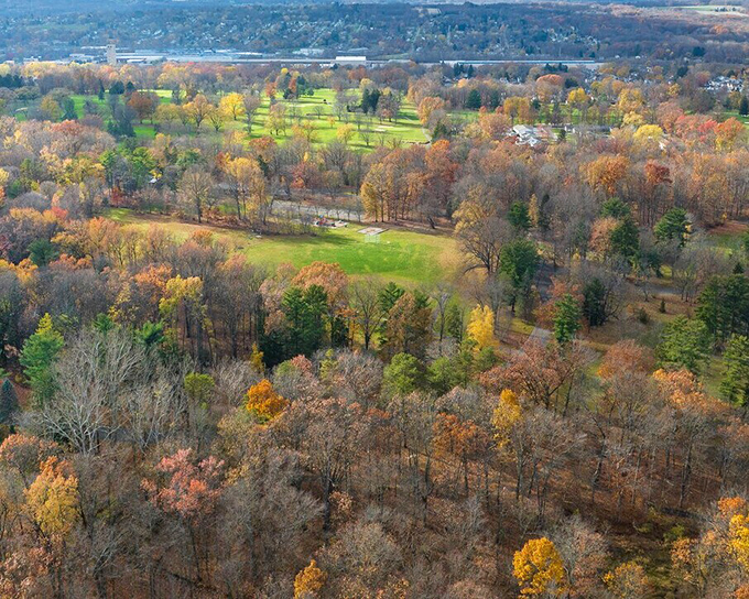 Autumn paints Sharon's abundant green spaces with gold and crimson, revealing why this small city offers big appeal for nature lovers.