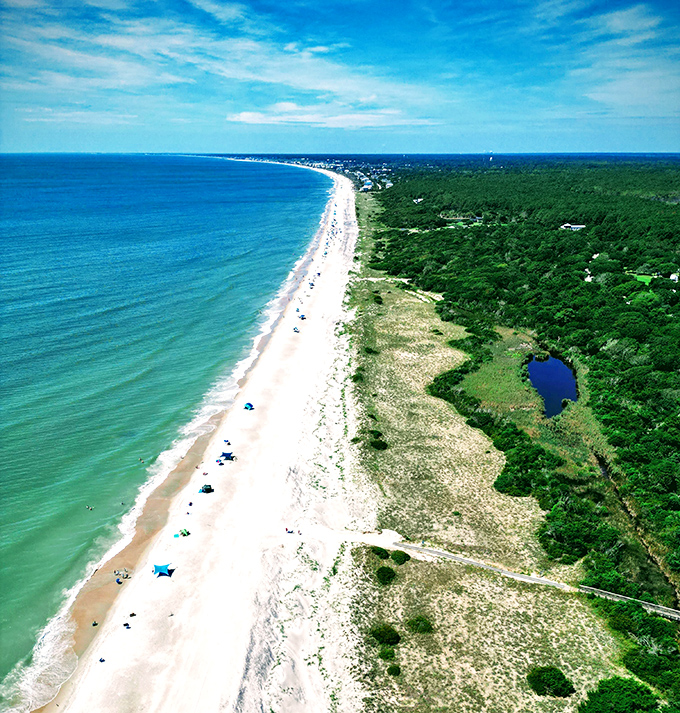 The grand perspective &ndash; where forest meets shoreline in a perfect balance that reminds us why conservation matters.