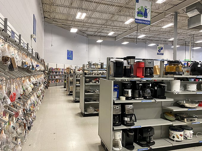 Endless aisles stretch toward infinity, creating a retail labyrinth that rewards patient exploration and discovery.