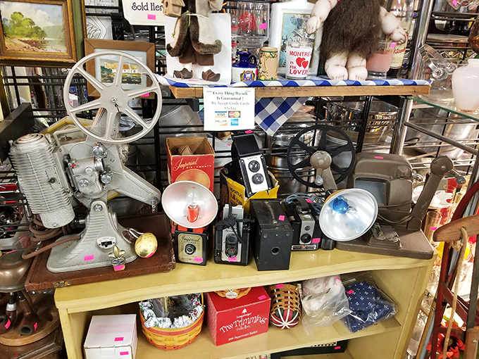 Vintage cameras and projectors &ndash; mechanical time machines from when "posting a photo" required darkrooms and patience, not just a thumb tap.