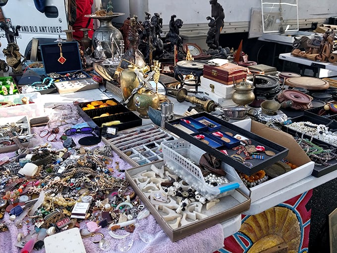 Treasure hunter's paradise where vintage jewelry, brass collectibles, and mysterious gadgets create a museum of everyday history waiting to be rediscovered.