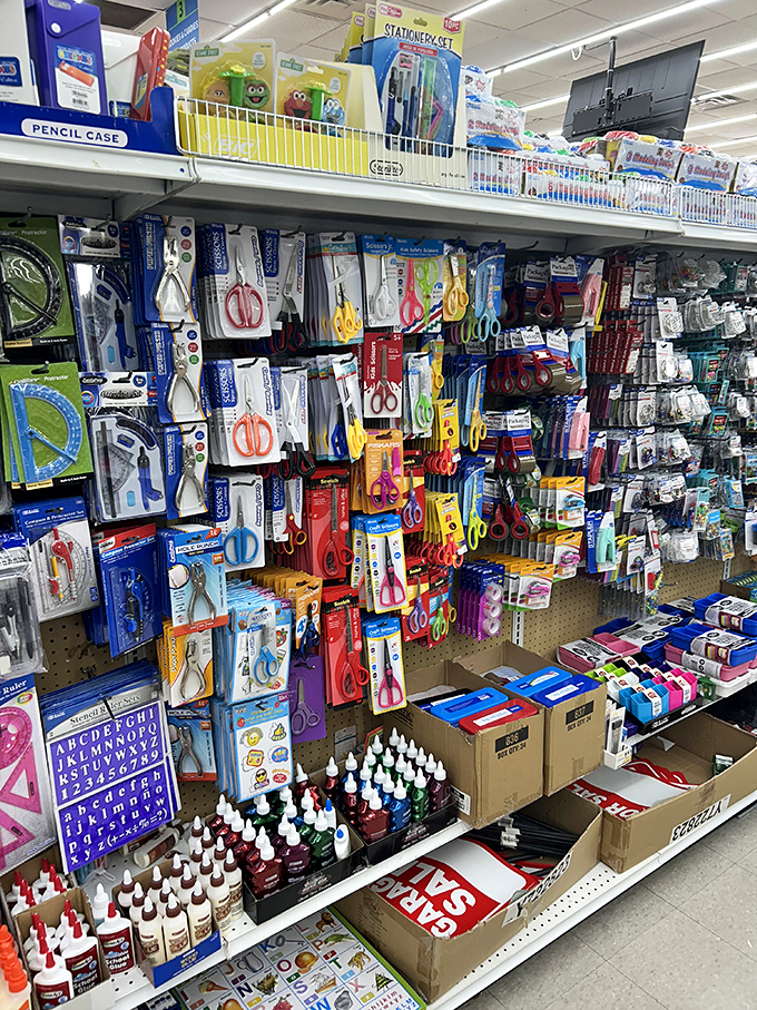 School and art supplies in every color of the rainbow, making back-to-school shopping feel less like a chore and more like an adventure.