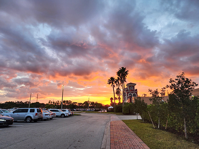 Even the Florida sunset seems to celebrate a successful day of bargain hunting, painting the sky in hues no designer could improve upon.
