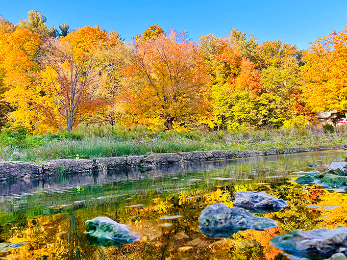 Autumn's reflection creates a double feature of fall splendor. Nature showing off like your neighbor with the too-perfect holiday decorations.