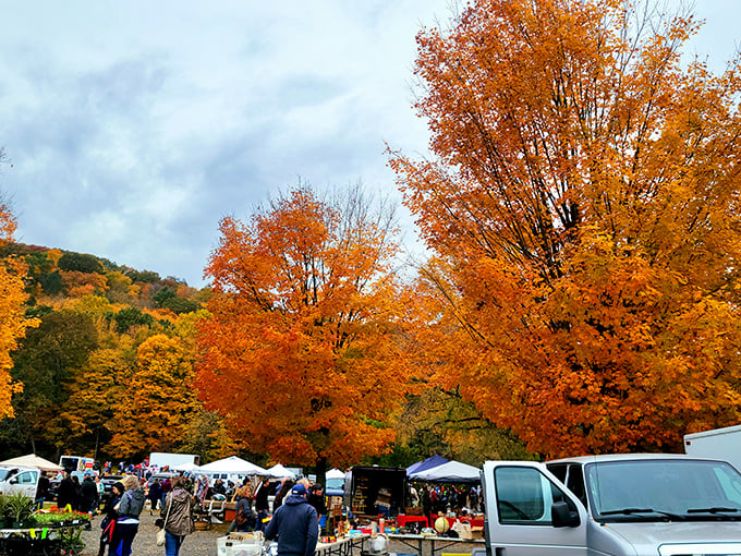 Autumn transforms the market into a fiery spectacle of oranges and reds. Fall weekends bring the perfect combination of crisp air and hot deals.