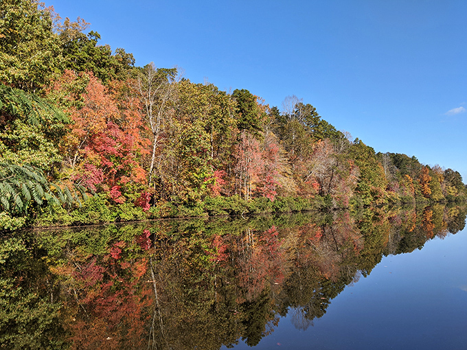 Fall foliage that doubles its impact through perfect reflection. Nature's showing off again, and we're here for the encore.