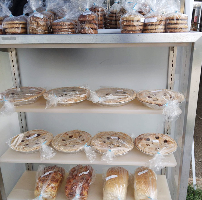 Pie perfection awaits beneath plastic wrap&mdash;these homemade creations with golden crusts and bubbling fillings make grocery store bakeries hang their heads in shame.