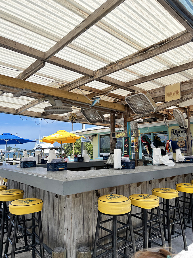 The bar counter where stories flow as freely as the drinks and every seat offers front-row entertainment.