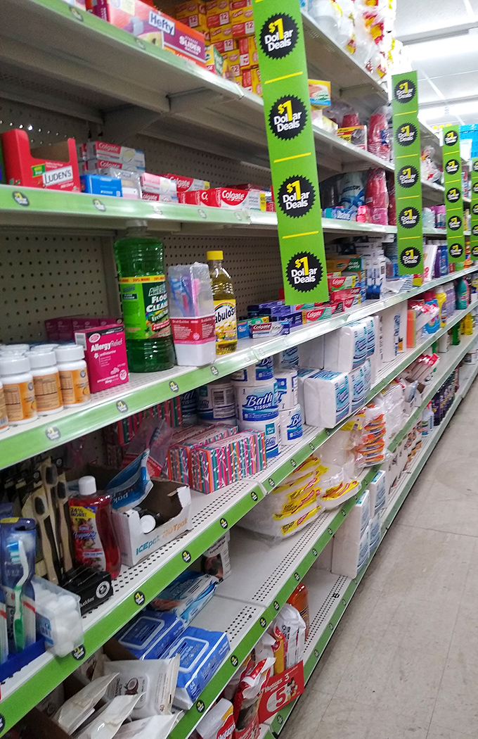 The cleaning supply aisle stands as a monument to practical living&mdash;where household heroes arm themselves for battle against grime.