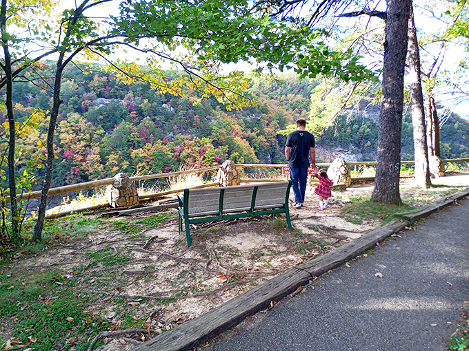 This bench provides front-row seats to one of America's most underrated natural theater performances daily.
