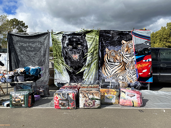 Blankets featuring everything from tigers to cartoon characters &ndash; because nothing says "my house, my rules" like automotive-themed bedding.