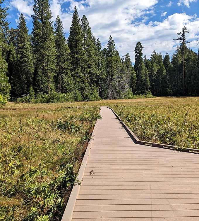 This boardwalk meanders through meadows where deer probably outnumber visitors on any given Tuesday.