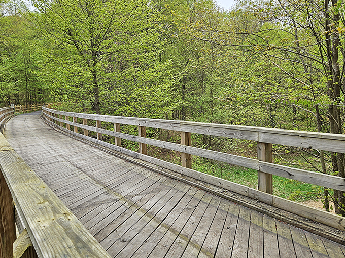 This wooden boardwalk winds through spring greenery, inviting visitors to follow its gentle curve into Mount Jewett's verdant forest wonderland.