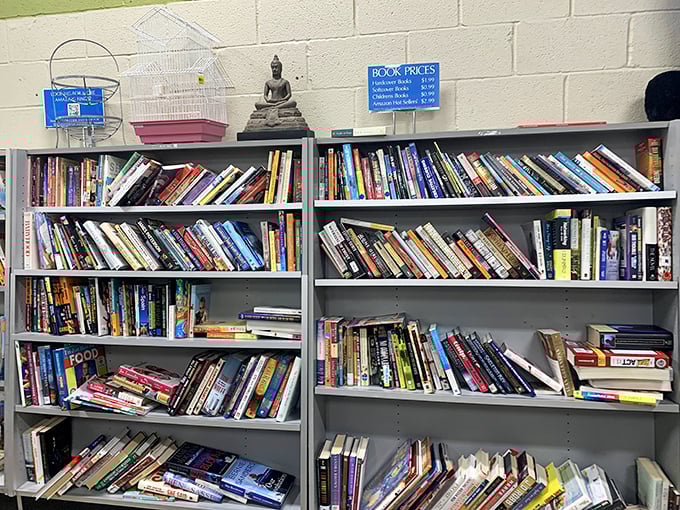 Books upon books&mdash;literary treasures at library sale prices, where dog-eared pages tell stories beyond what's printed on them.